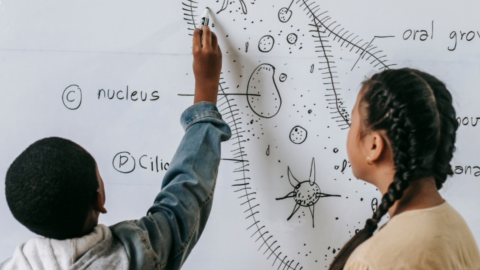 HSB Notes - Miss Francois