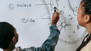 CSEC Past Papers Archives - Miss Francois